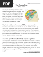 Pre Primary Science | PDF