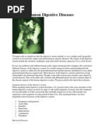 The Complete Watch Repair Course With Diagrams | PDF | Watch | Horology