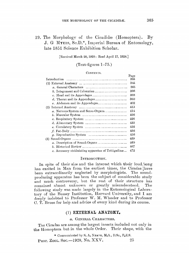 Morphology of Cicadidae | PDF | Insects | Zoology