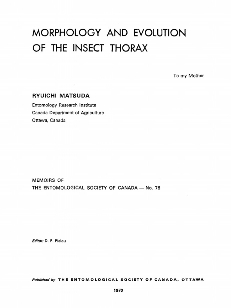 Insect Morphology | PDF | Insects | Hexapoda