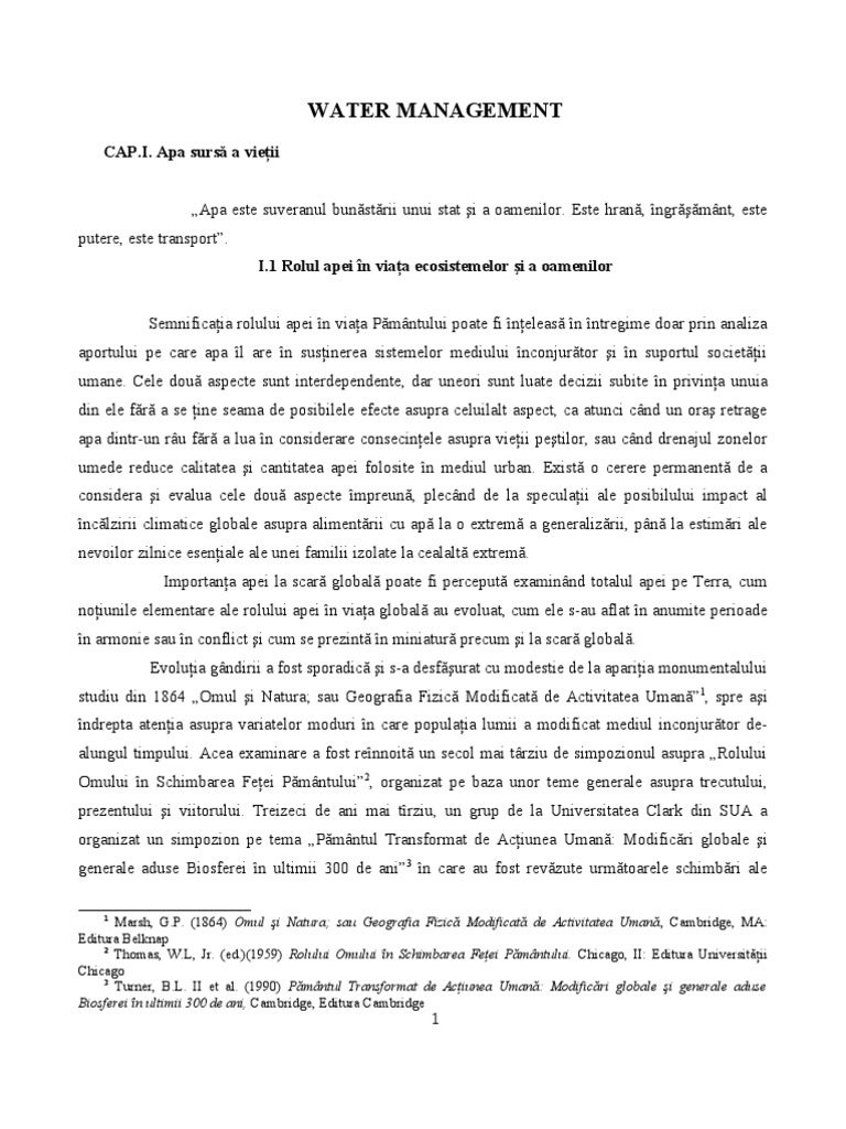 Management Apa | PDF