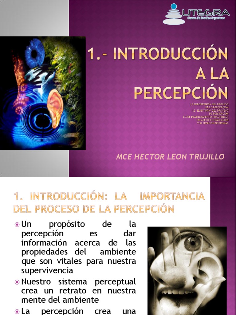 1 Introduccion A La Percepcion HLeon | PDF | Percepción | Percepción visual