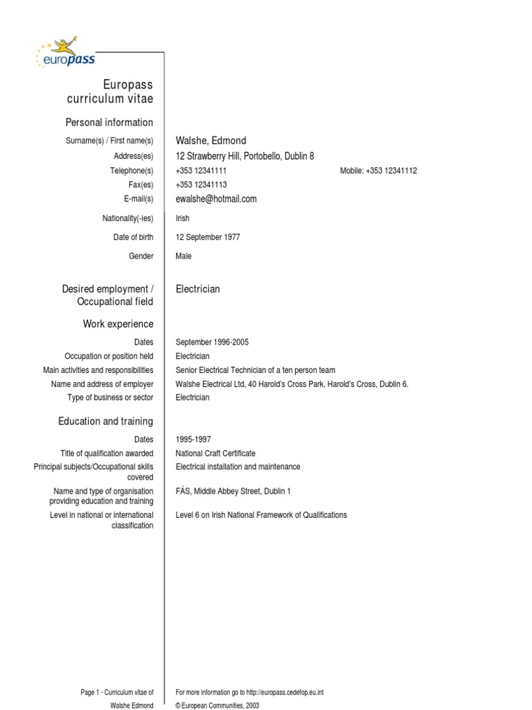 Europass CV Example | PDF