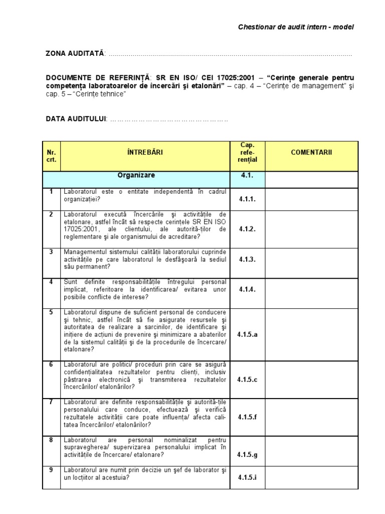 Chestionar Audit Intern - MODEL | PDF