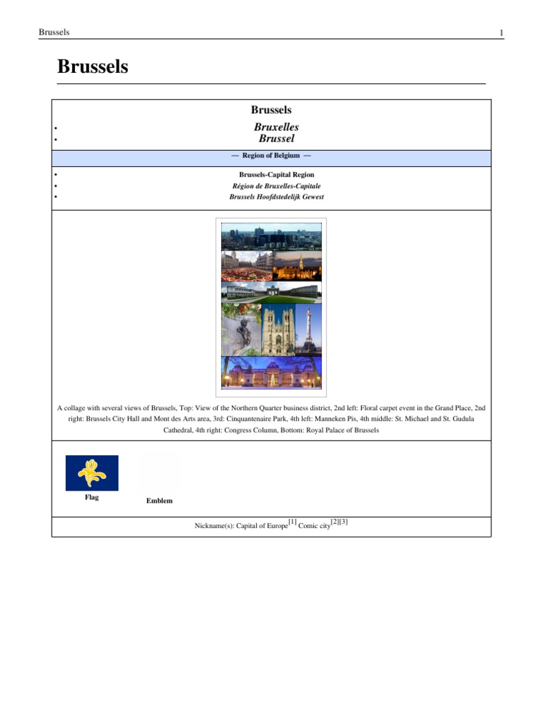 Brussels | PDF | Brussels | Belgium
