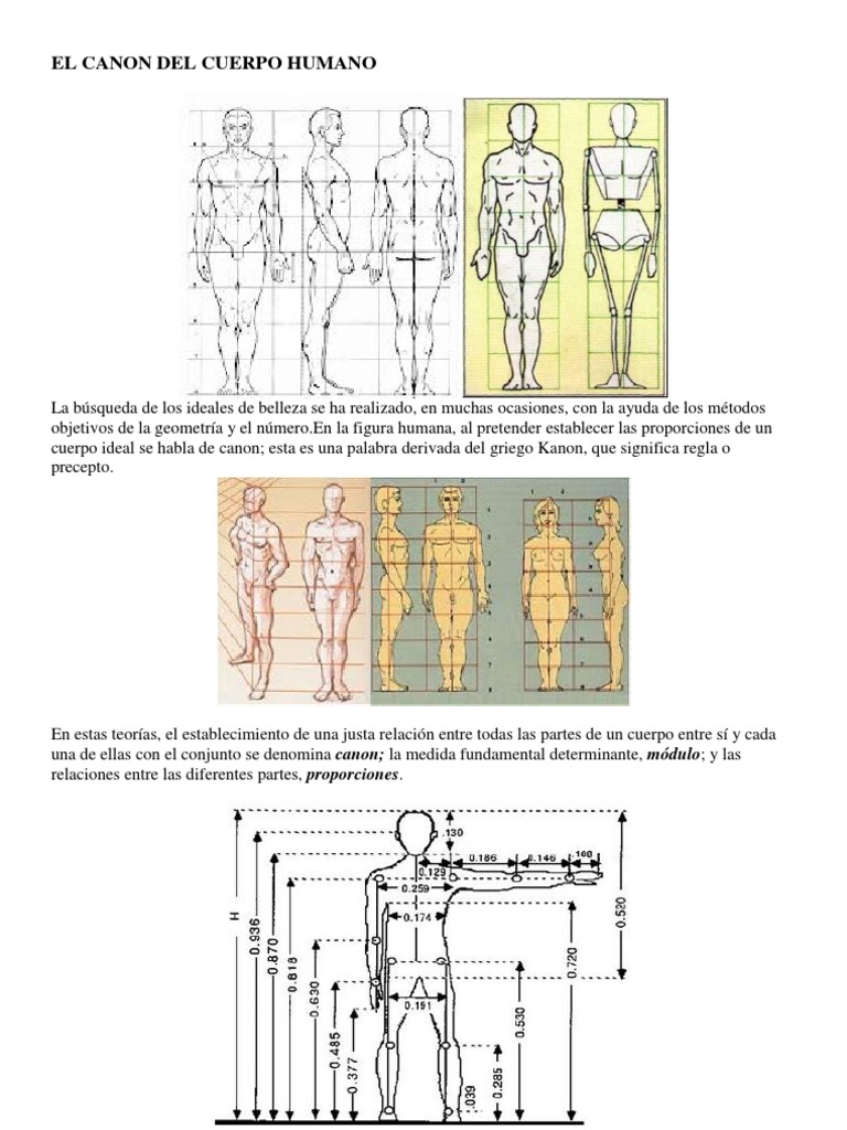 El Canon Del Cuerpo Humano Pdf Antropometría Dibujo