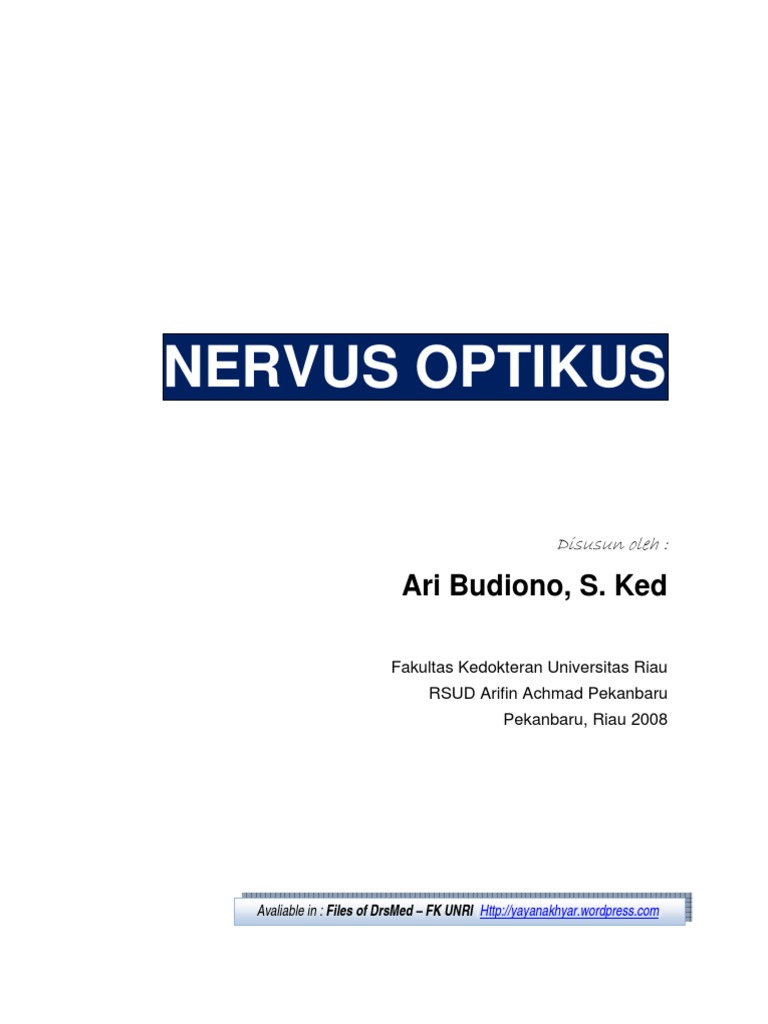 NERVUS OPTIKUS DAN GANGGUAN PENGLIHATAN | PDF
