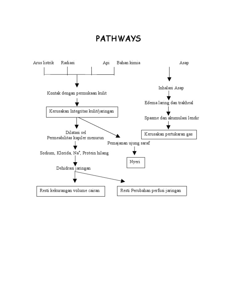 PATHWAYS Luka Bakar | PDF