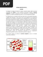 Ficha Técnica Quantrel | PDF | Medicamentos con receta | El embarazo