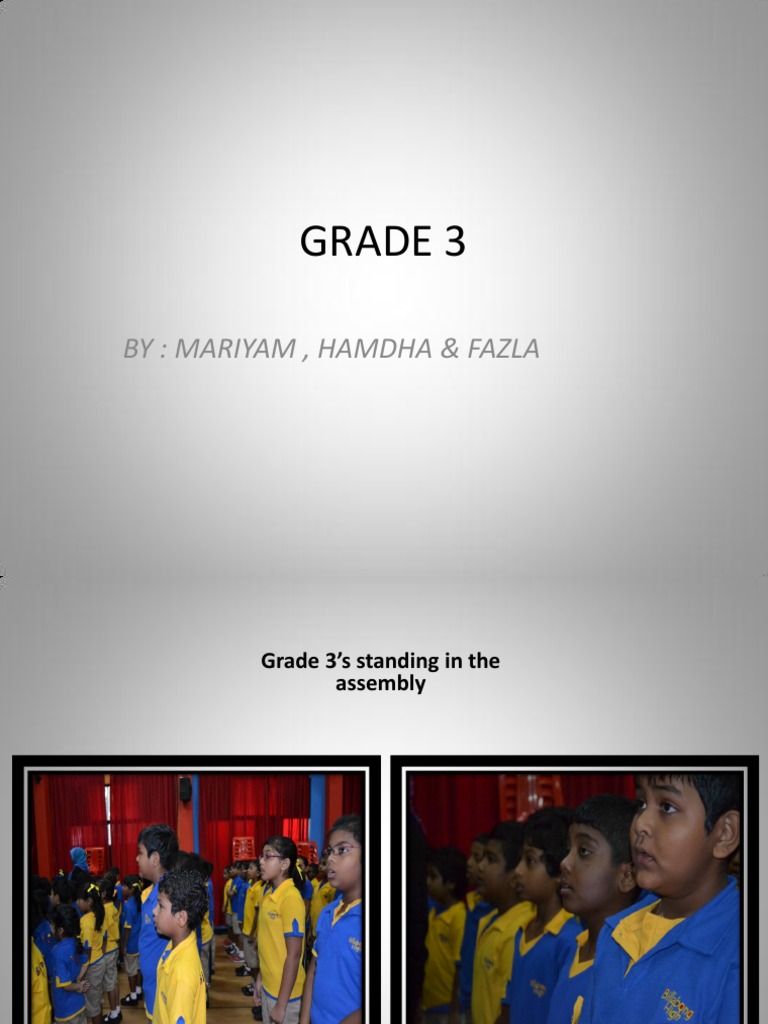 Grade 3 Activities and Lessons Overview | PDF