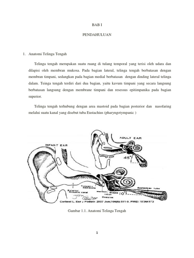 Tuba Eustachius | PDF