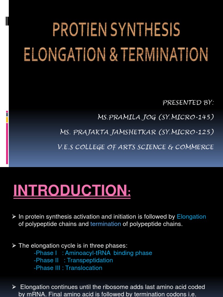 Protien Synthesis Elongation & Termination | PDF | Ribosome | Molecular ...