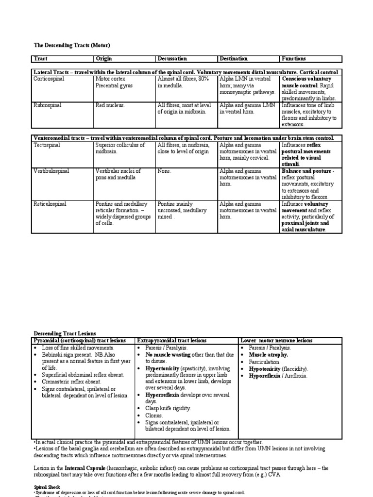 Neurology Notes | PDF | Spinal Cord | Coma