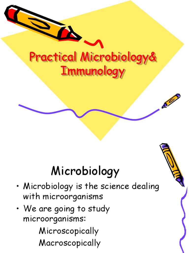 Microbiology Practical | PDF | Growth Medium | Microbiology