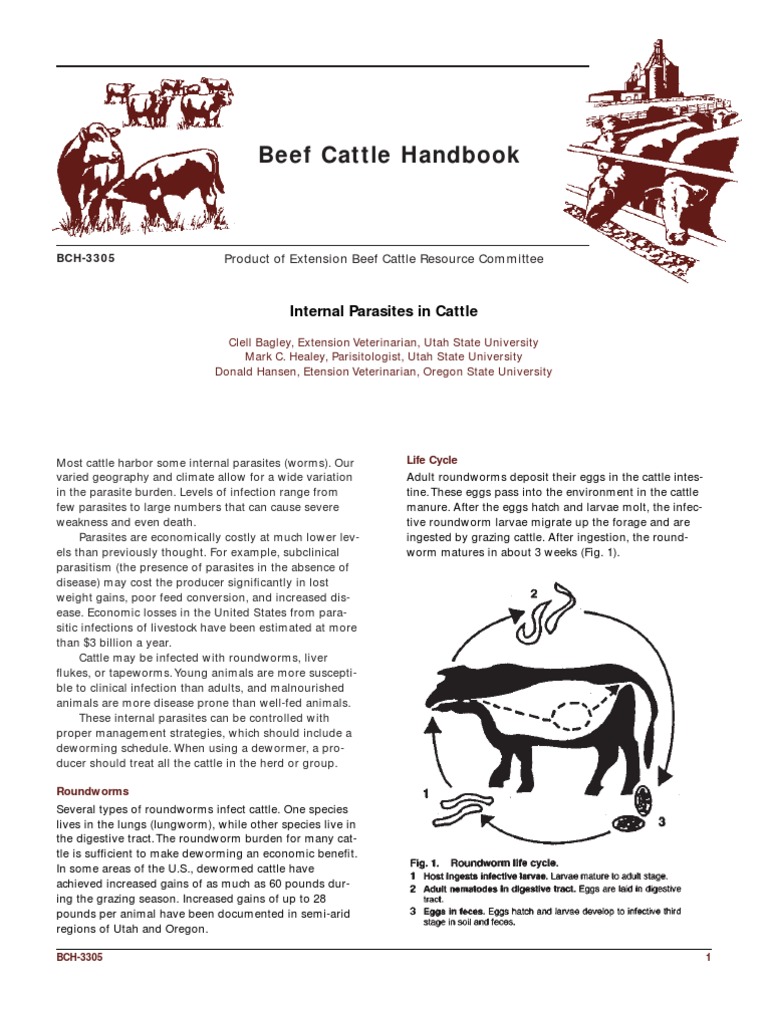 Beef Cattle Handbook: Internal Parasites in Cattle | PDF | Cattle ...