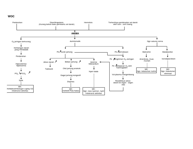 Woc - Anemia | PDF