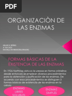 AZOADOS | PDF | Ciencia y matemáticas