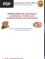 Macula o Mancha Definicion y Clasificacion | PDF