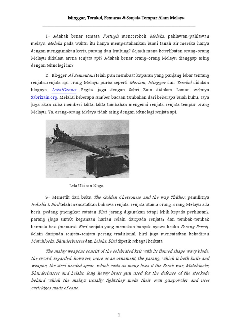 Senjata Api | PDF