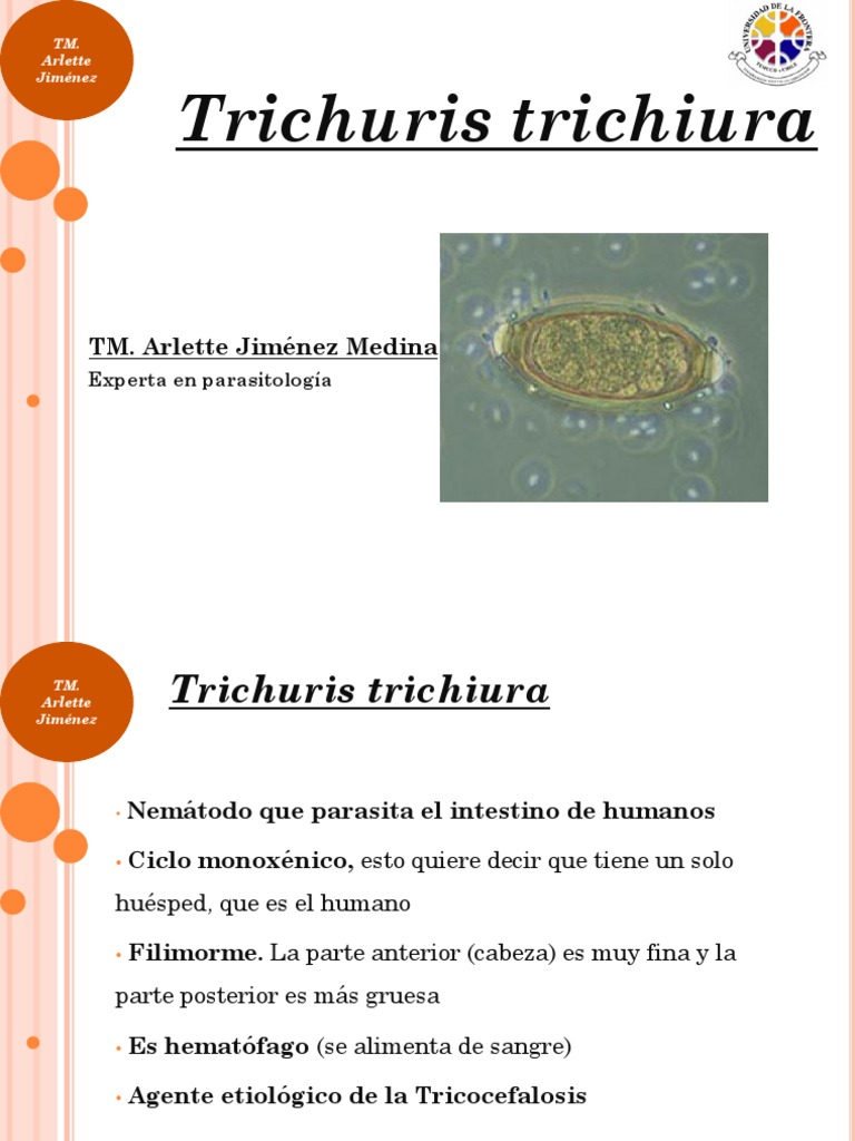 Trichuris Trichiura | PDF | Organismos | Epidemiología