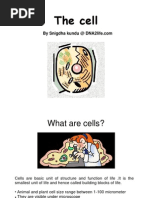 Cell Poem | Vacuole | Cell (Biology)