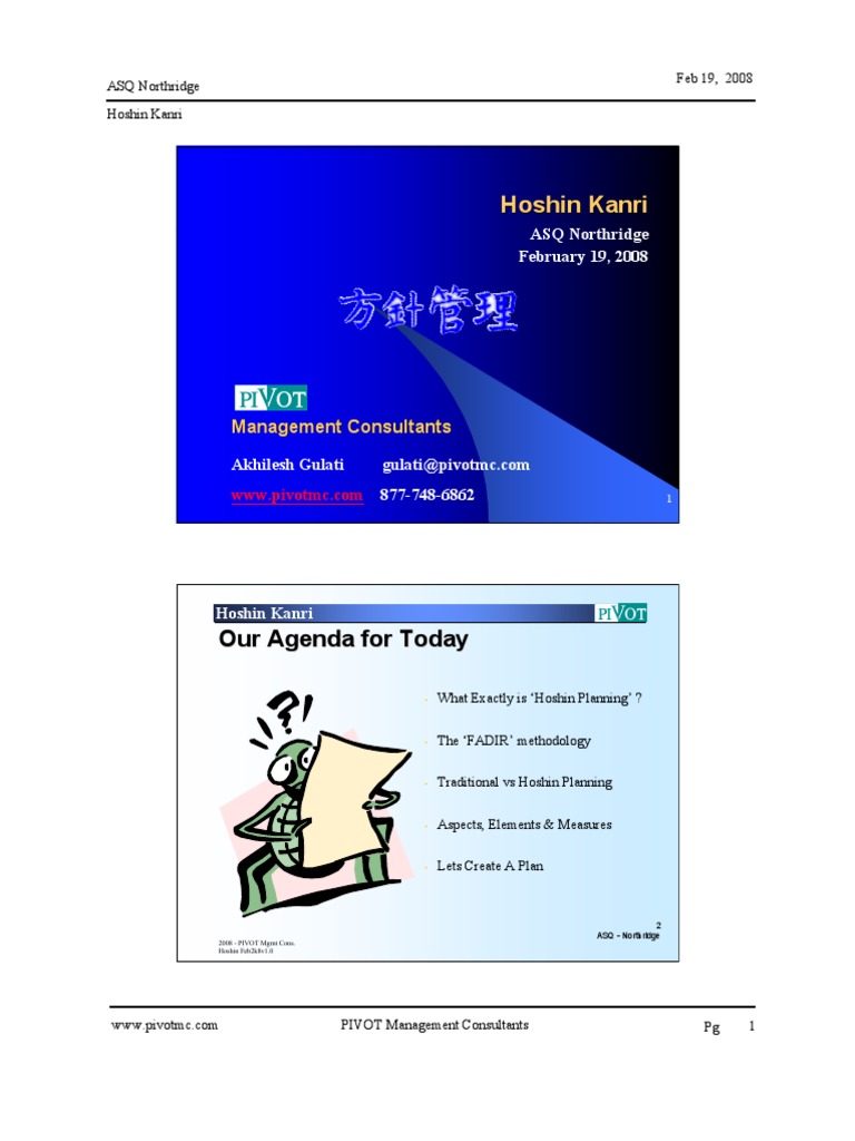 Hoshin 1 | PDF | Business | Cognition
