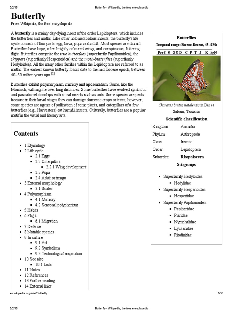 Butterfly | PDF | Pupa | Butterfly