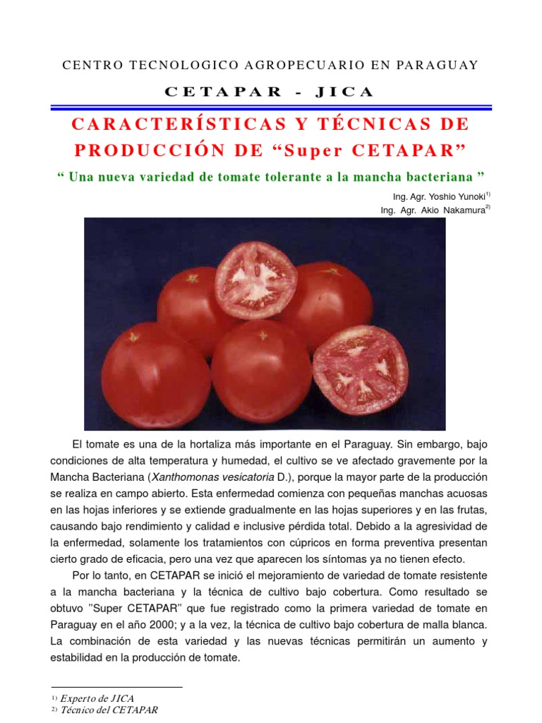 Tomate Super Cetapar | PDF | Fertilizante | Siembra