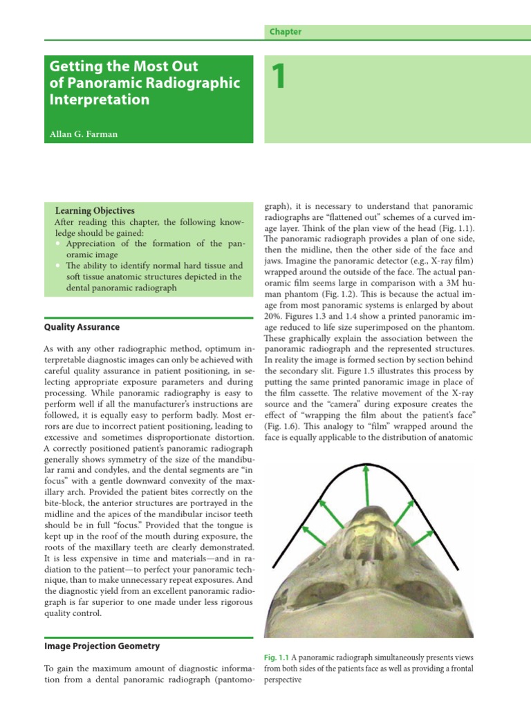 Panoramic Radiograph Interpretation Guide | PDF | Human Anatomy ...