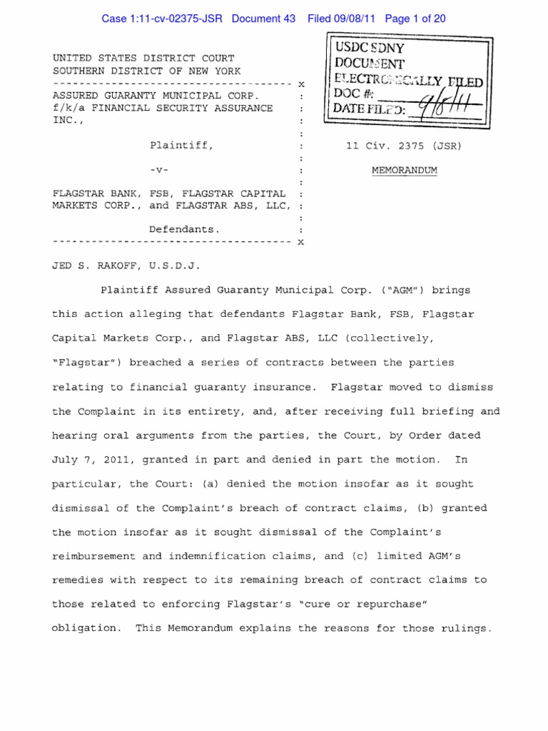 Rakoff Sole Remedy | PDF | Indemnity | Complaint