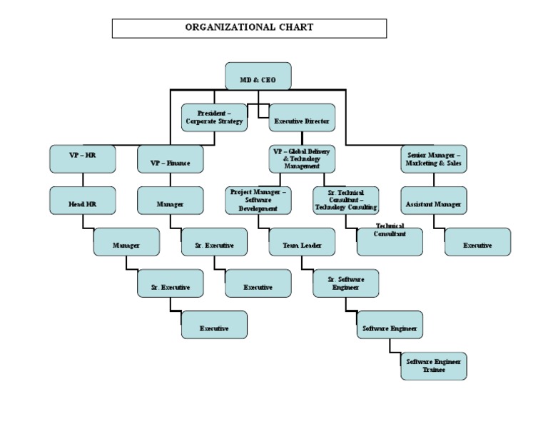 C-Suite and Corporate Title Hierarchy | PDF