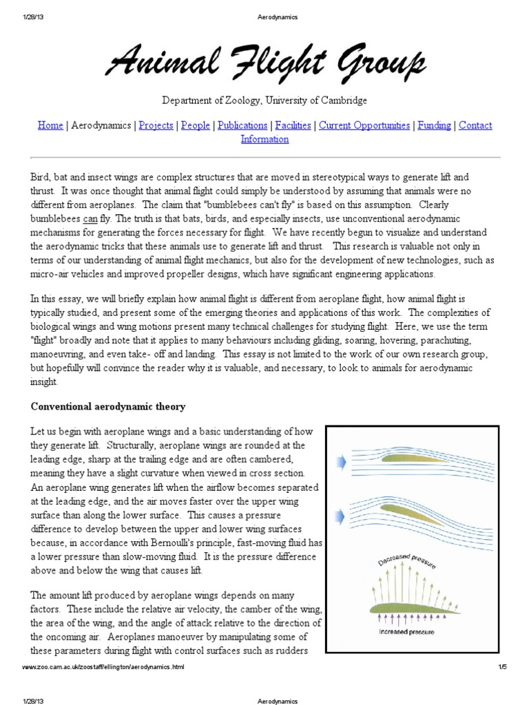 Aerodynamics Insects | PDF | Lift (Force) | Wing