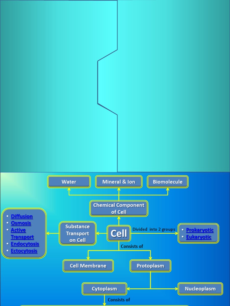 Cell Biology Presentation Chapter 1 Overview | PDF