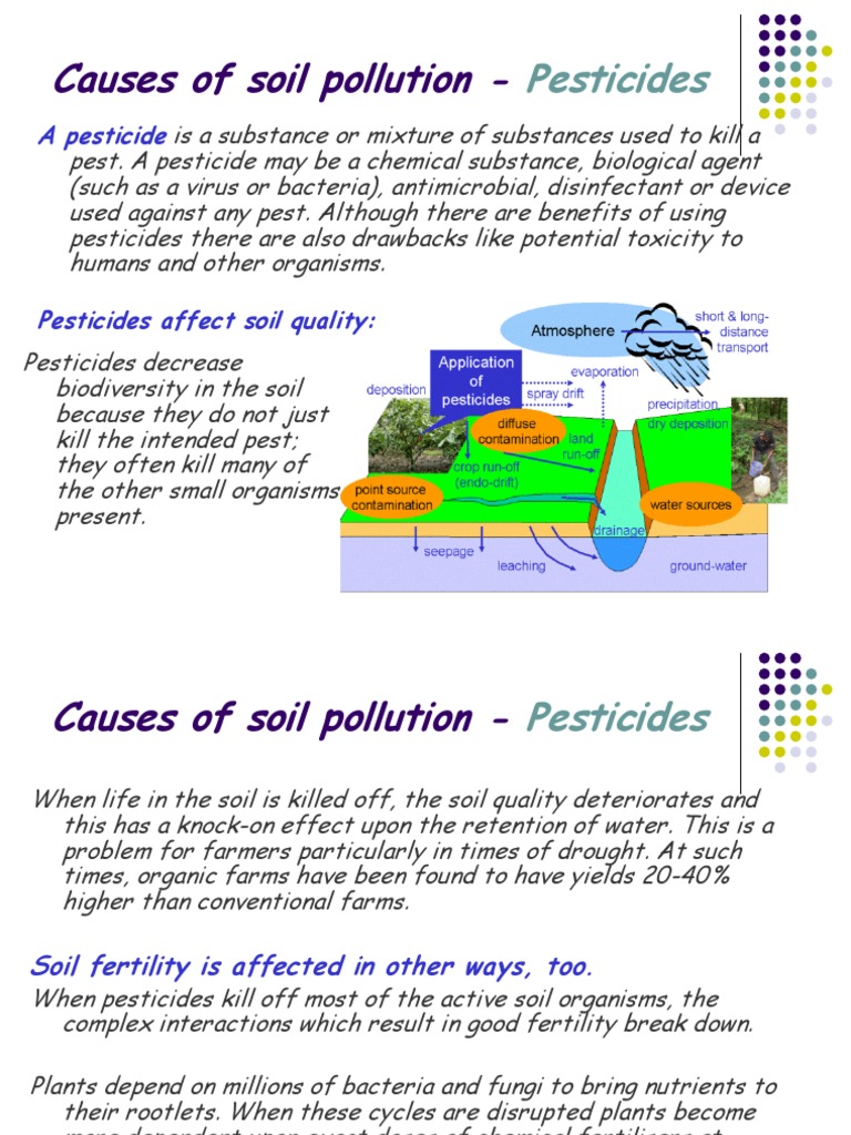 Causes of Soil Pollution - Pesticides | PDF | Home & Garden