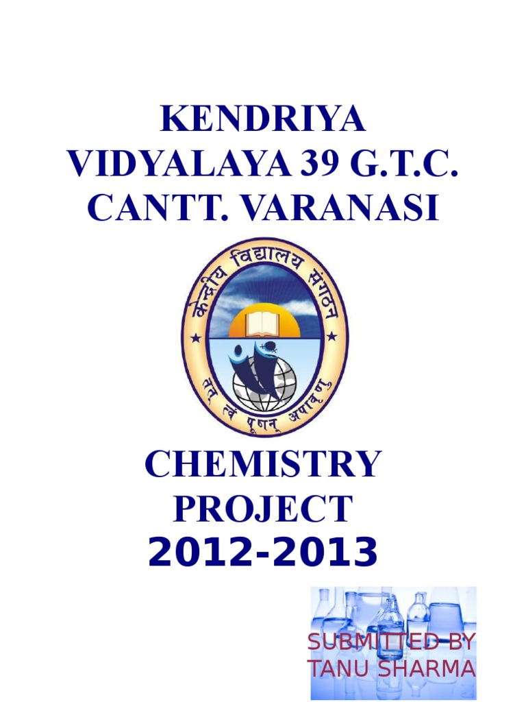 Chemistry Project | PDF | Fermentation In Food Processing | Food And Drink
