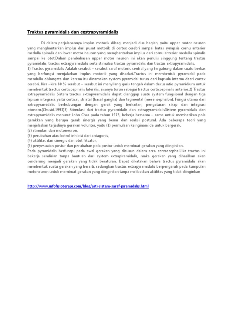 Traktus Pyramidalis Dan Exstrapyramidalis | PDF