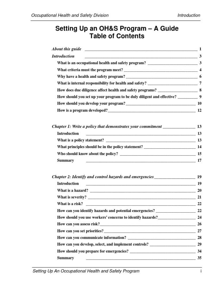 Setting Up Ohs Guide | PDF | Occupational Safety And Health | Employment