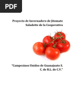 Proyecto de Locote en Paraguay | PDF | Pimiento | Economias