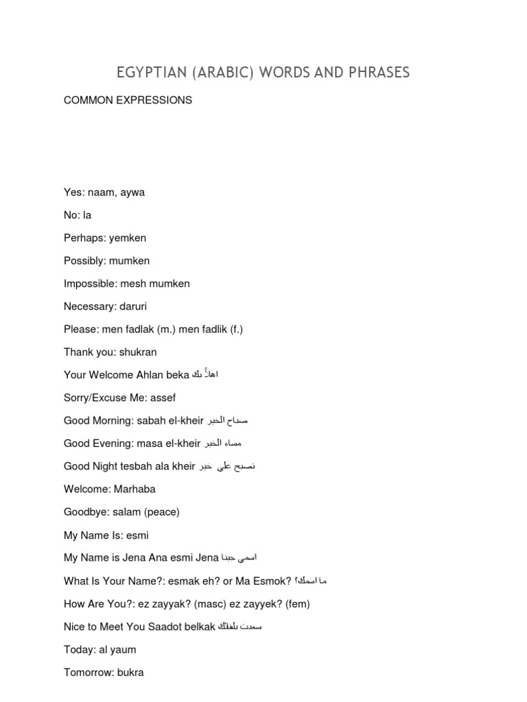 Essential Egyptian Arabic Phrases Guide | PDF