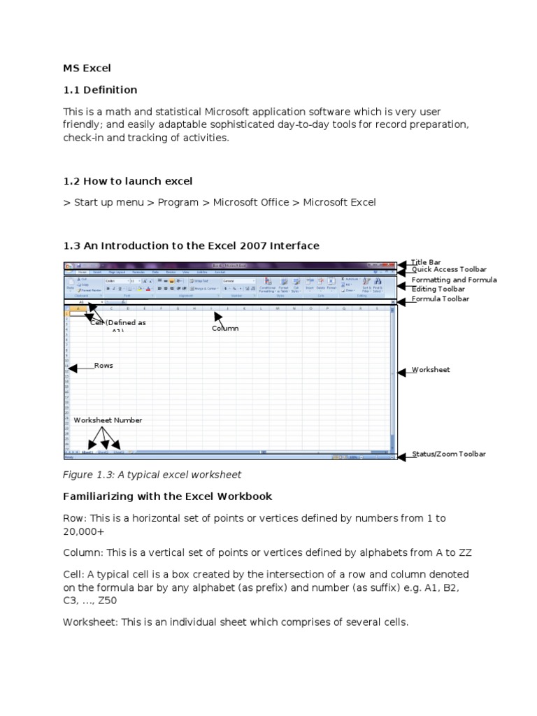 Excel 2007 Basics: Data Input & Functions | PDF