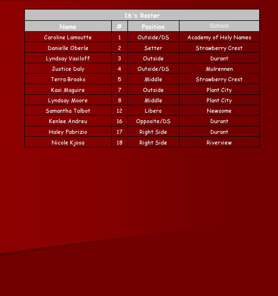 Team Roster 16 | PDF