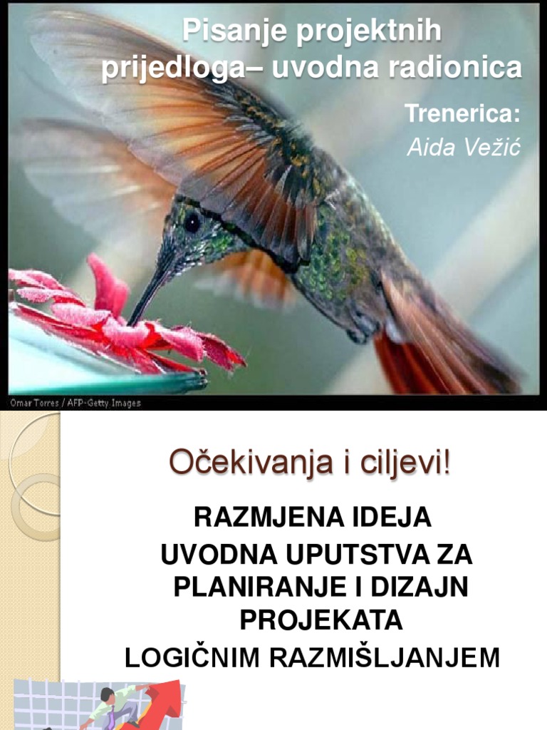 Pisanje Projekta | PDF
