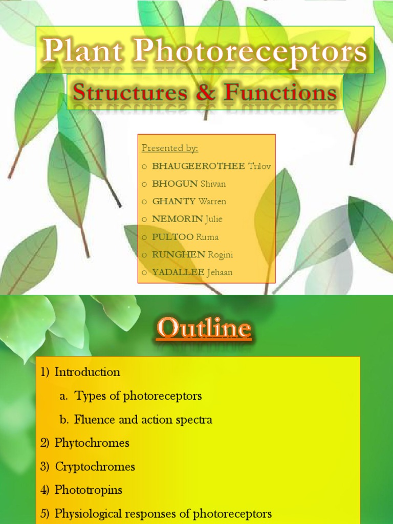 Plant Photoreceptors: Types and Functions | PDF | Cell Biology ...