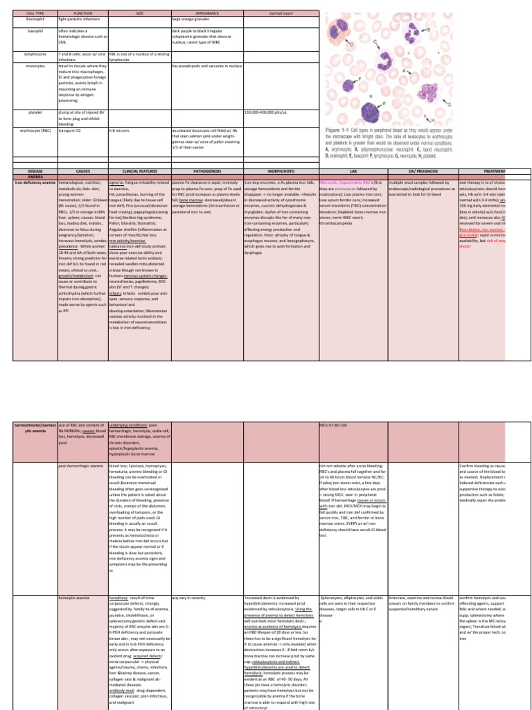 USMLE - Heme & Lymph Pathology | PDF | Anemia | Leukemia