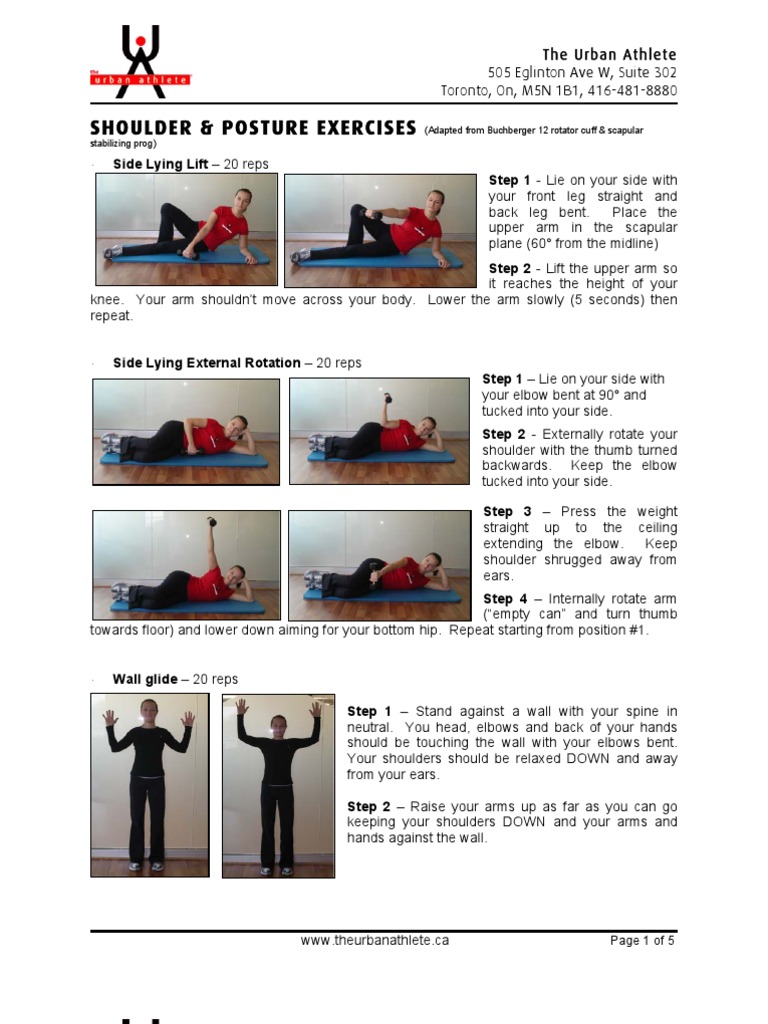 Shoulder Stability | PDF | Shoulder | Anatomical Terms Of Motion