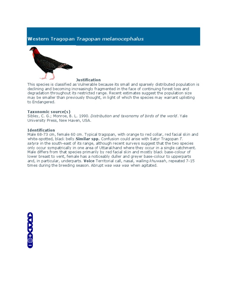 Western Tragopan | PDF | Conservation Biology | Pakistan