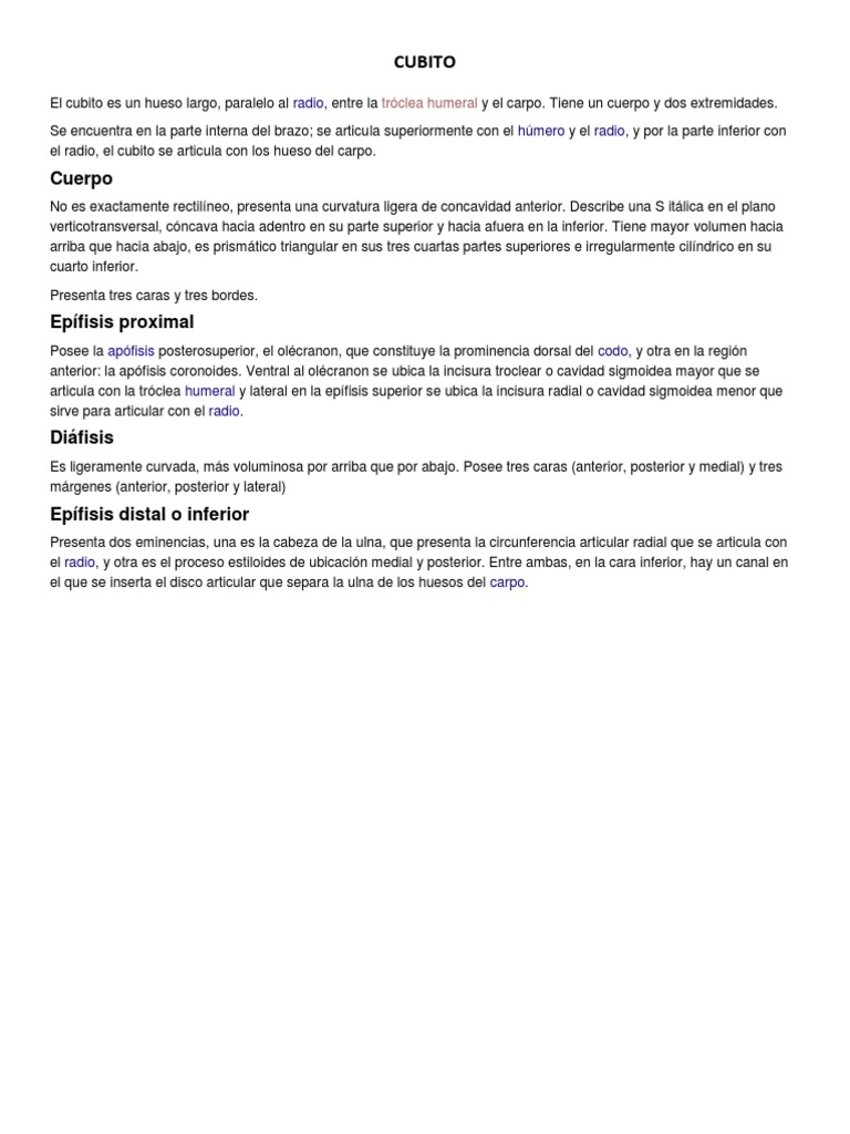 Anatomía del Cúbito y sus Partes | PDF | Sistema musculoesquelético ...