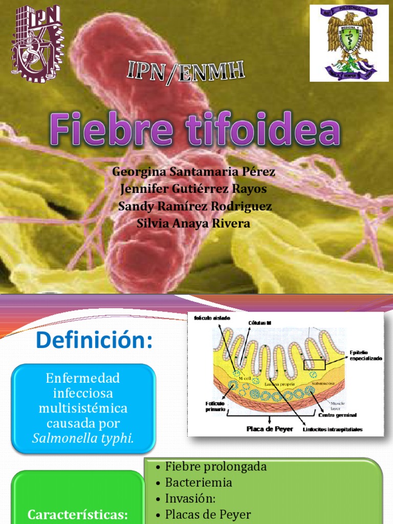 Fiebre Tifoidea | Salmonela | Ciencias de la Salud