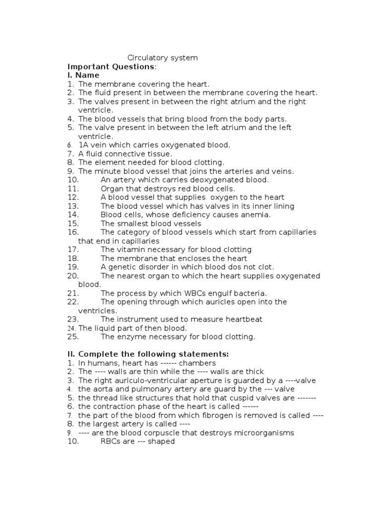 Important Questions: I. Name | PDF | Circulatory System | Heart