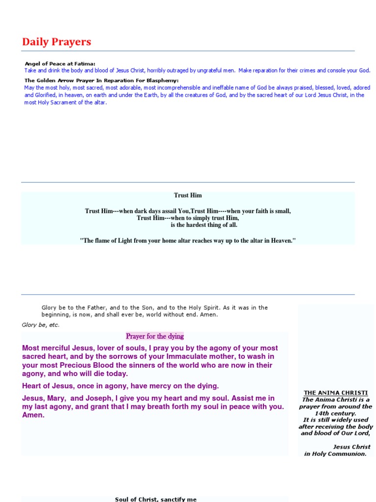 Daily Prayers | Download Free PDF | Mary, Mother Of Jesus | Jesus